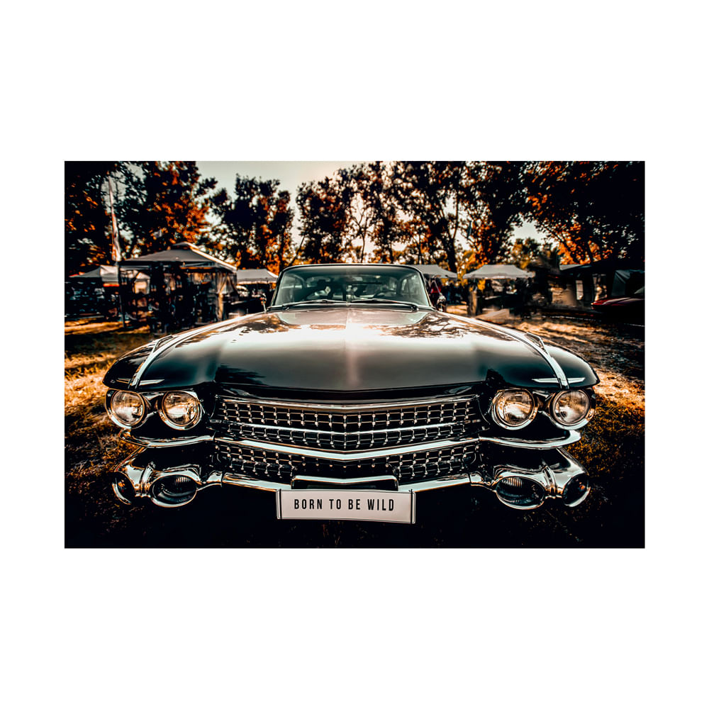 Cuadro Canvas Silver Born To Be Wild